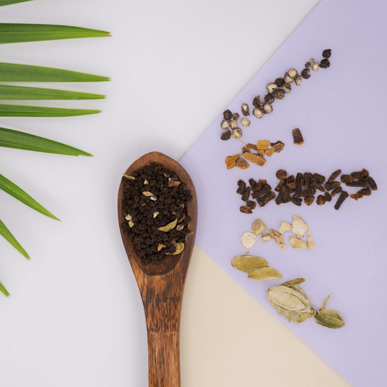 Mosi Tea - Portable Tea, Matcha, and Cold-brew Infusers and Tea